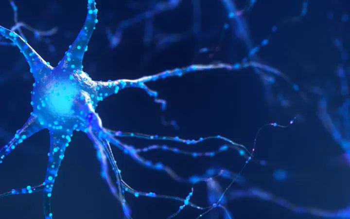 Infrared Brain Stimulation For Dementia - New Study | LYMA