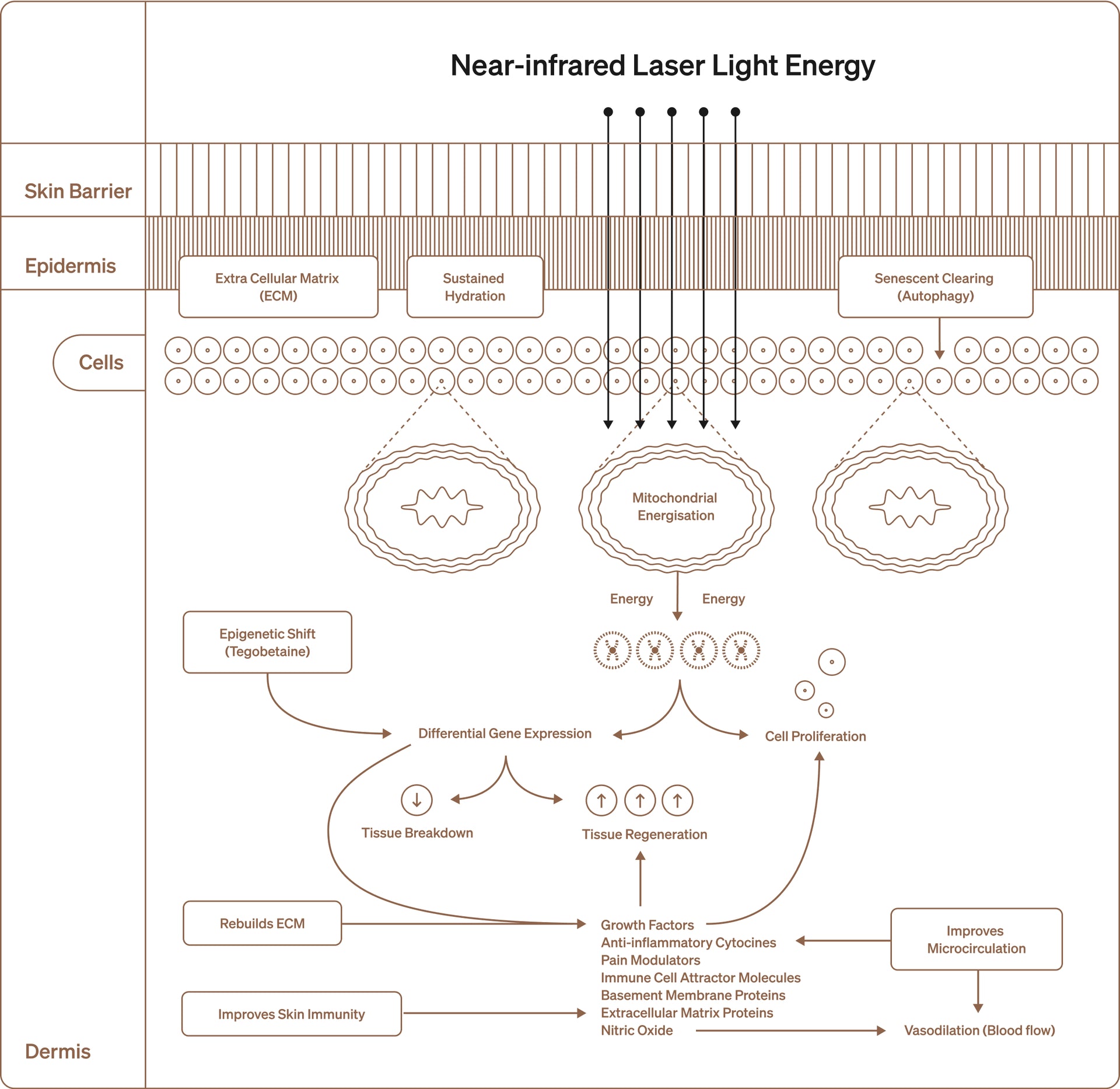 The LYMA Laser. Power To Change Your Skin: Clinic-Grade Device